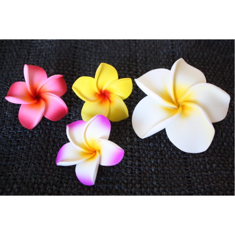 Fleurs Frangipanier deco de Bali