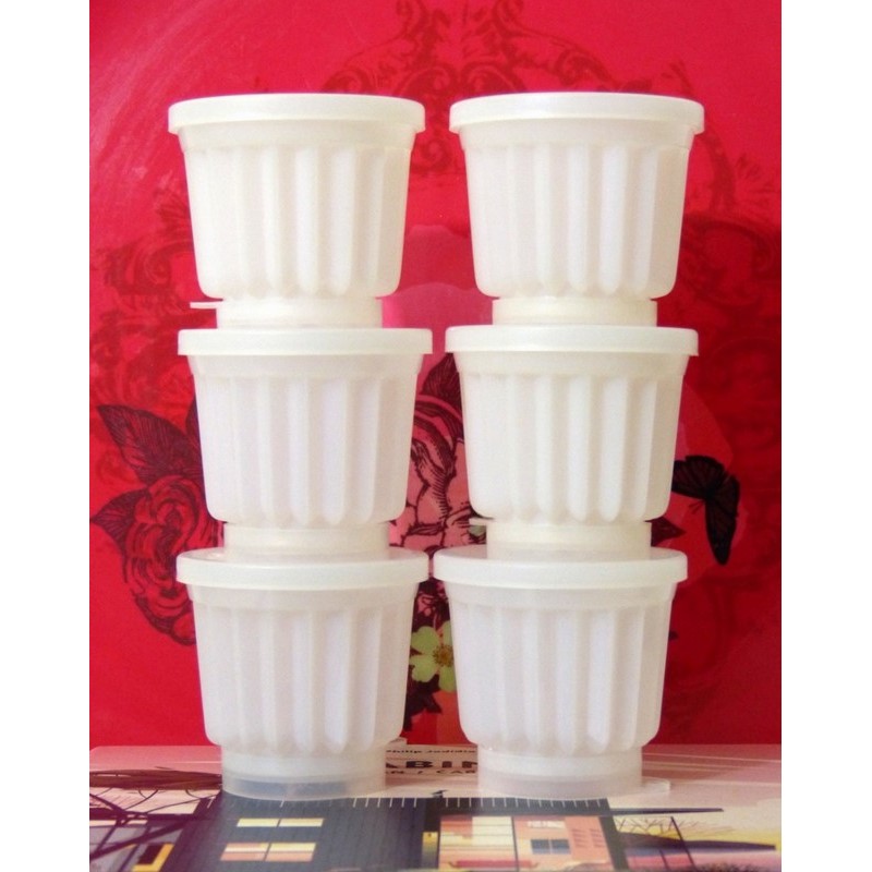 Lot de 6 Moules Petits Gourmets TUPPERWARE blanc pastel Années 70